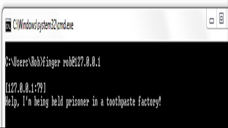Personal Finger Daemon for Windows - I Thought He Came With You