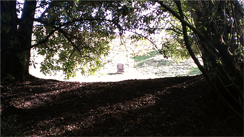 Bernal Chair - I Thought He Came With You