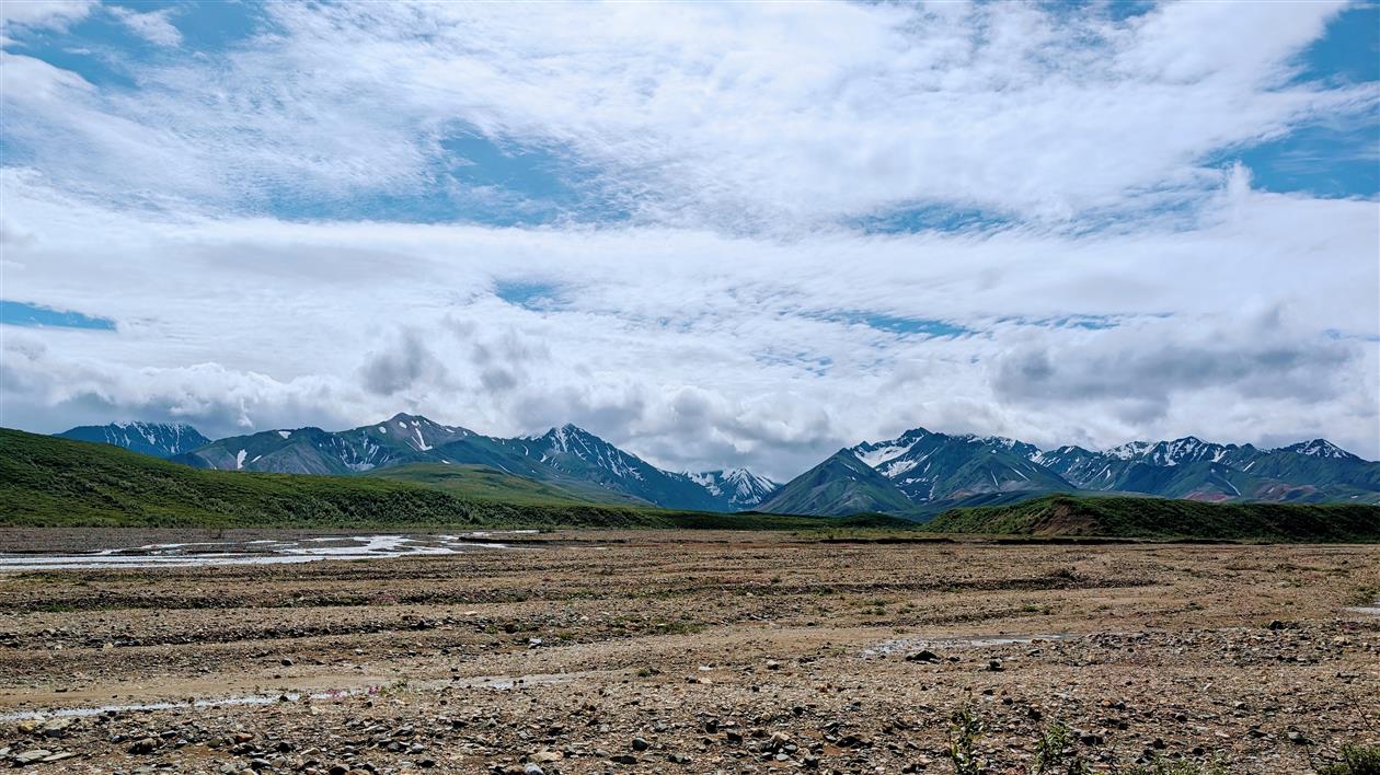 East Fork Toklat River - I Thought He Came With You
