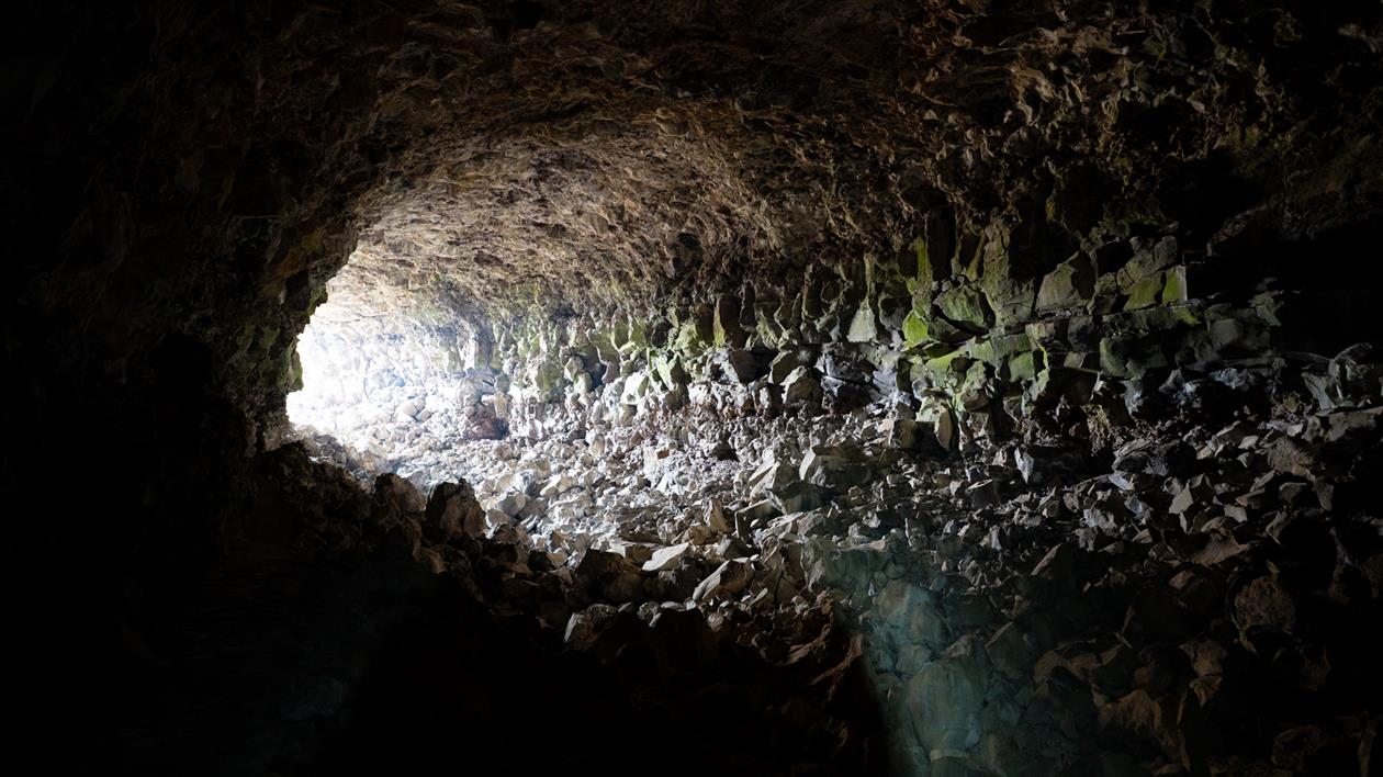 Skull Cave - I Thought He Came With You